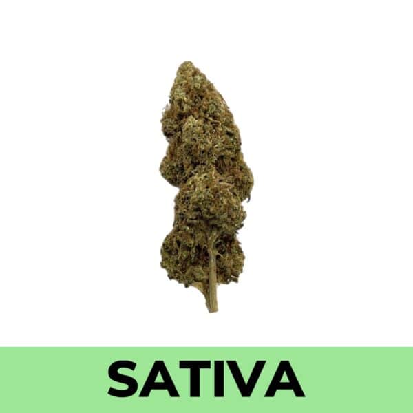 Ferrari Fume (AA) | Canna Club Co | Weed Delivery & Mail Order