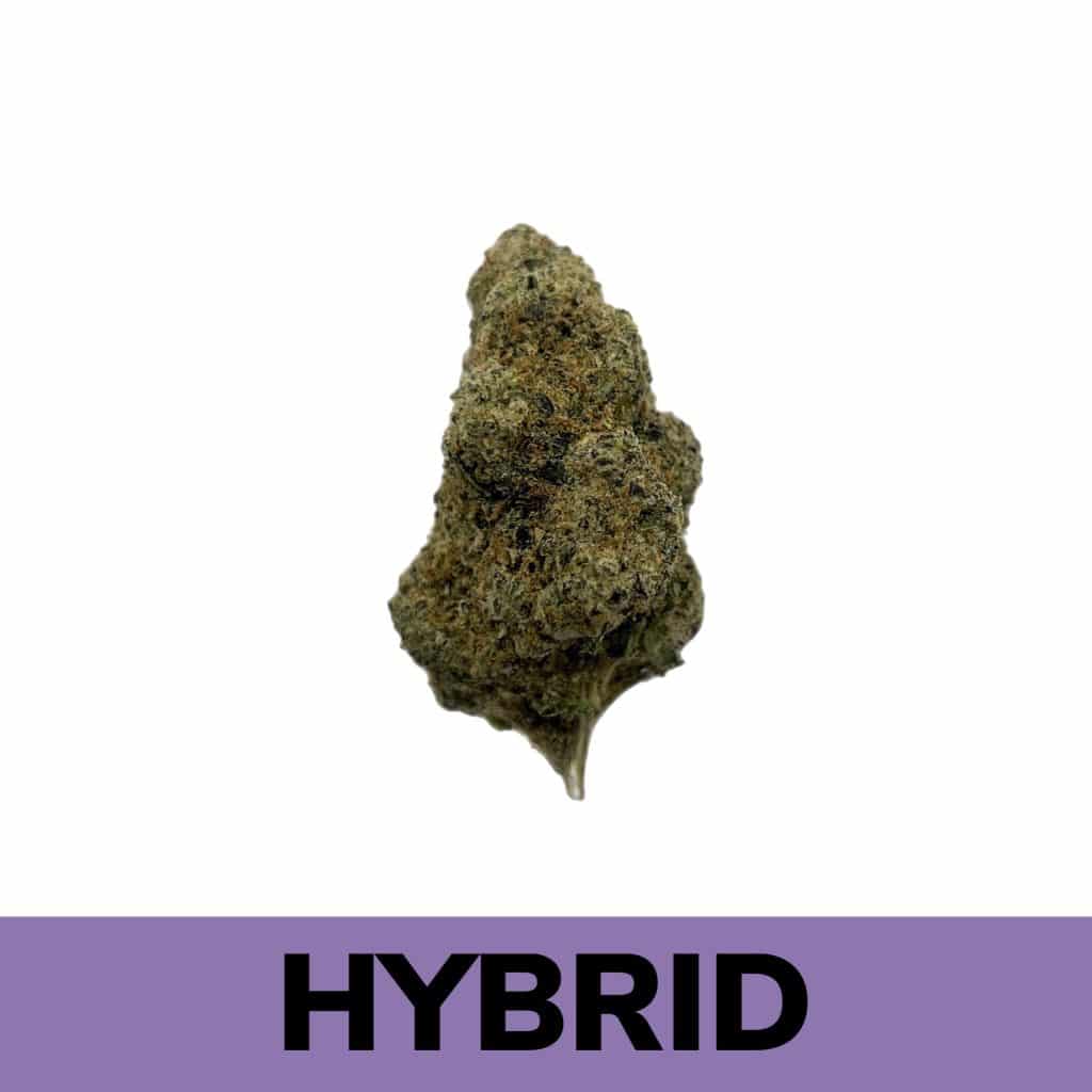 Home / AAA Rated Flower (Mid-Tier Option) / Hybrid / Dairy Queen