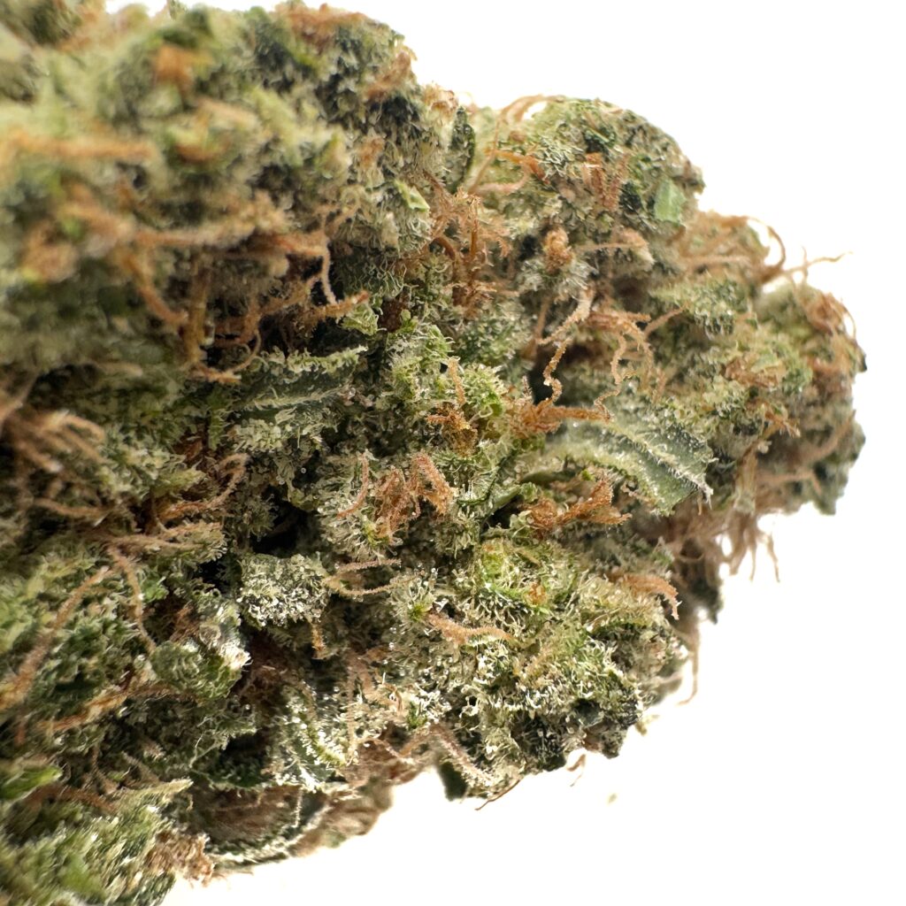 Canna Club Co - Online Dispensary & Same-Day BC Weed Delivery