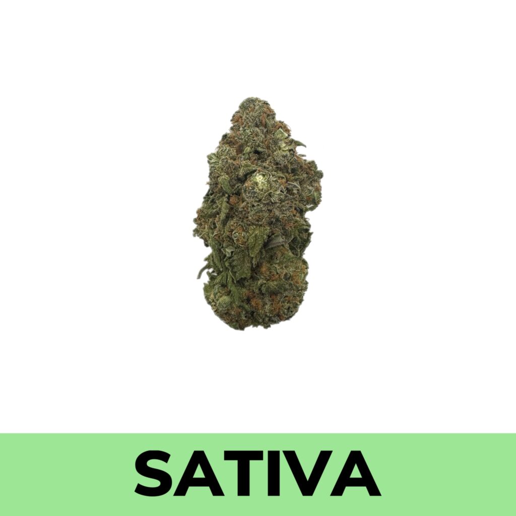 Orders over $100 receive gifts 100% Satisfaction Guarantee Same-Day ...